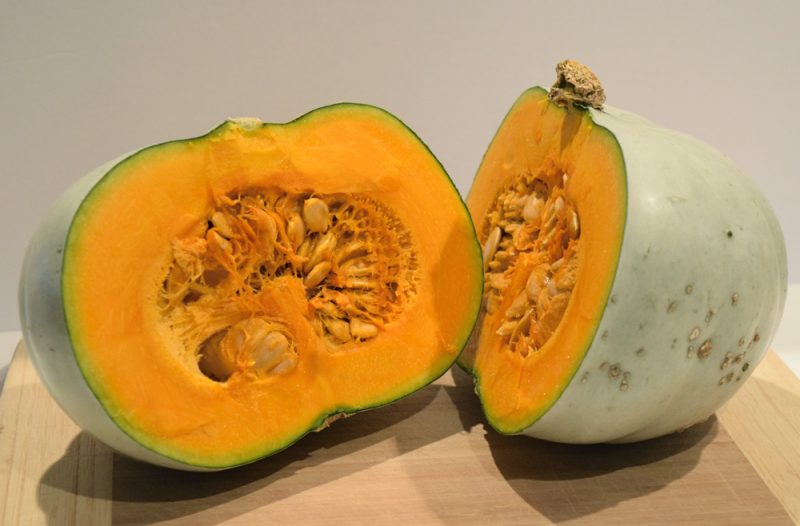 Mother Nature’s Teal Pumpkin: Grey Ghost Squash – HypeFoodie